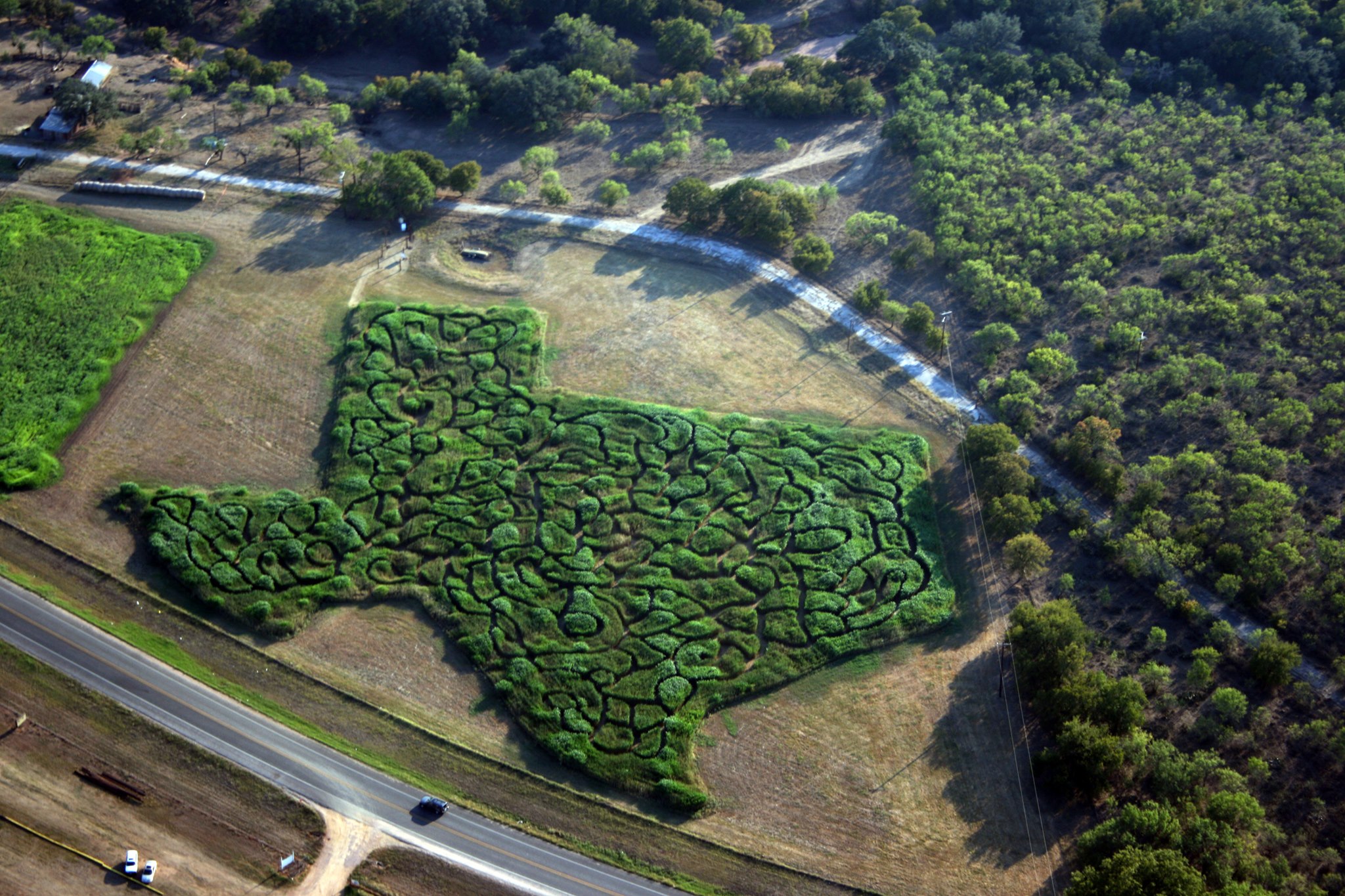 Marble Falls farm features maze in the shape of Texas