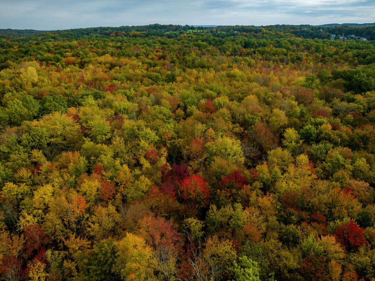 7 scenic drives in Connecticut to view fall foliage