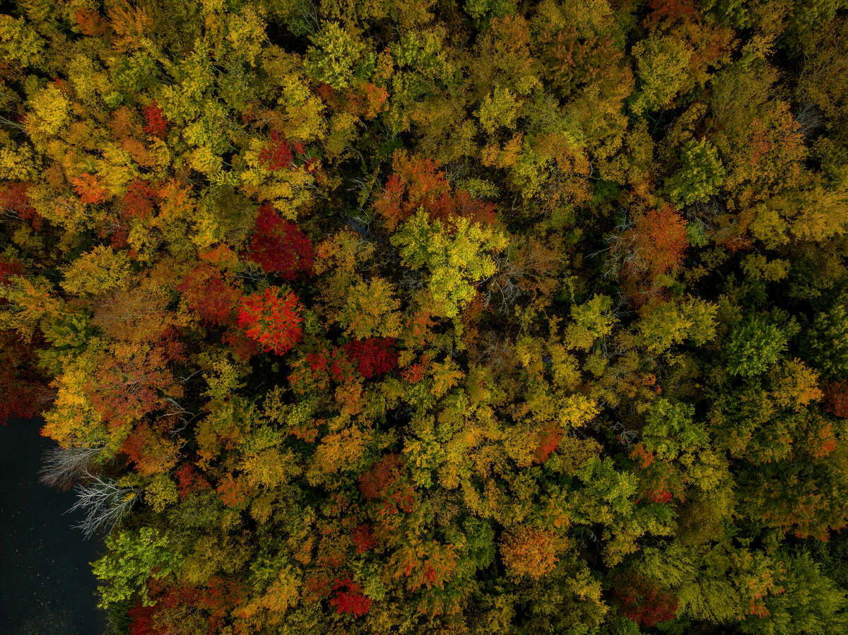 7 scenic drives in Connecticut to view fall foliage