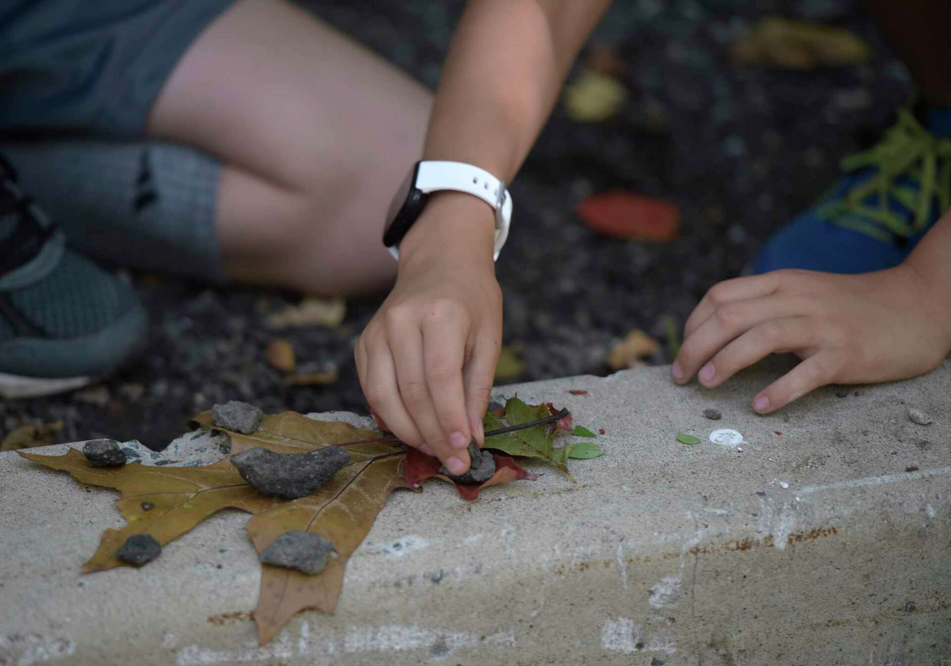 John Read Middle School in Redding, CT unveils outdoor classroom
