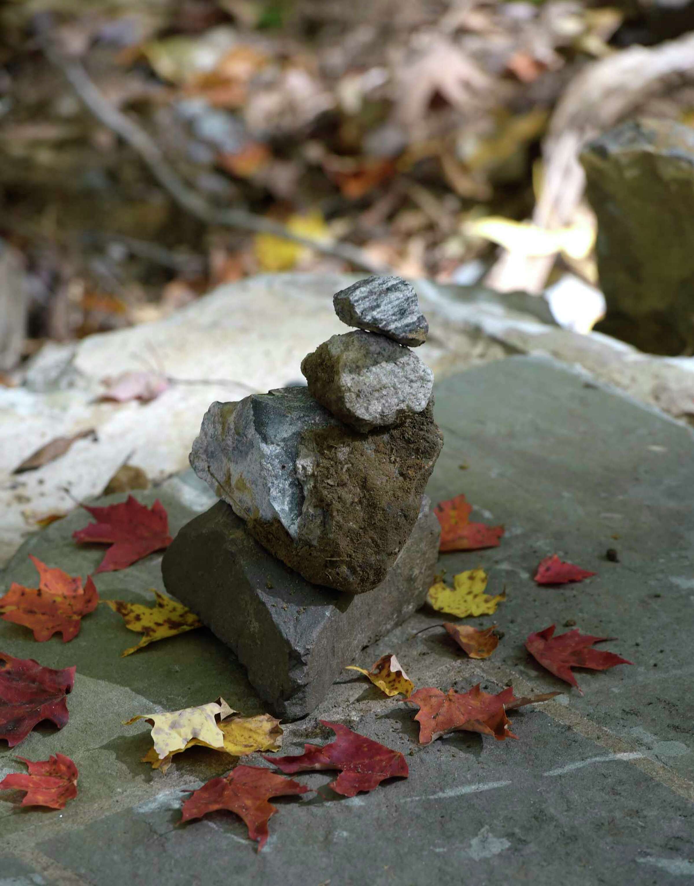 John Read Middle School in Redding, CT unveils outdoor classroom