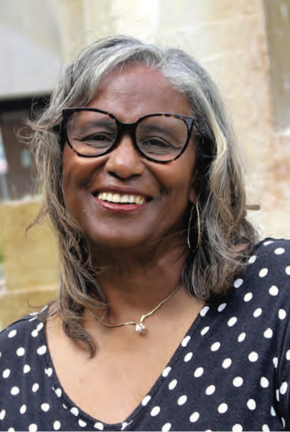 Turner seeks new Illinois state flag design