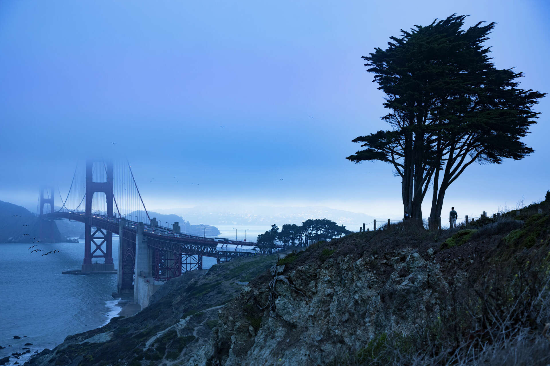 20 of the best things to do in the SF Bay Area for Halloween