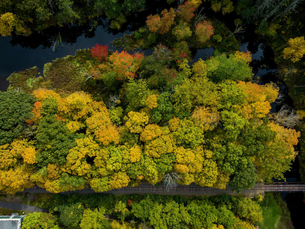 7 scenic drives in Connecticut to view fall foliage