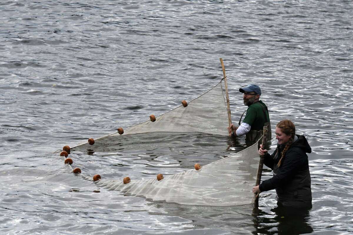 Risk of flooding due to Capital Region rainstorm