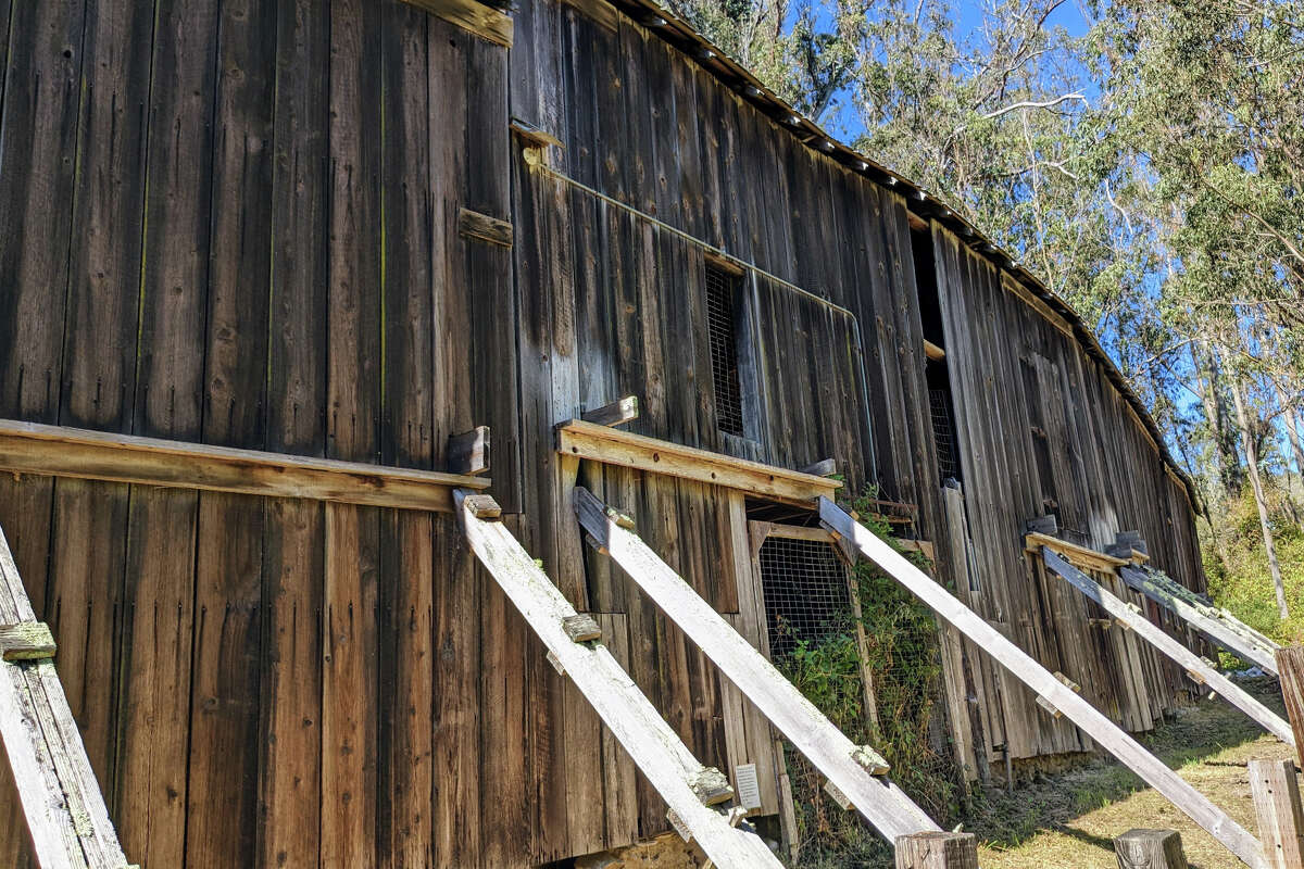A Calif. parks program led me to Bay Area's Murray Ranch barn