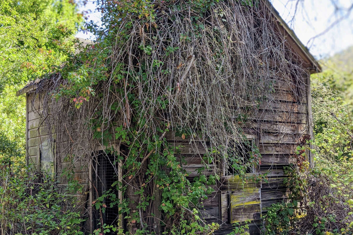 A Calif. parks program led me to Bay Area's Murray Ranch barn