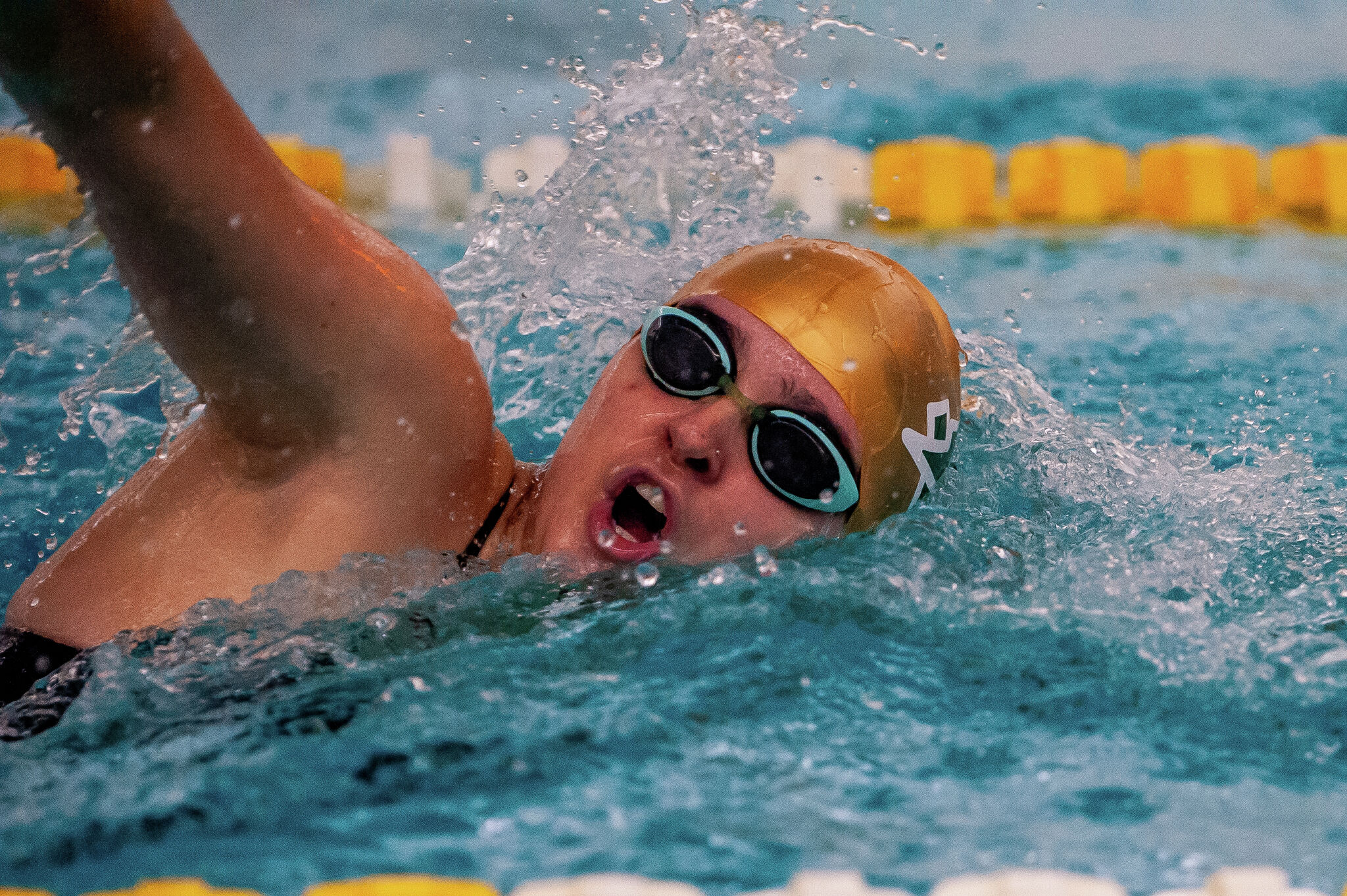 PHOTOS: Dow High swimmers dive into swim meet