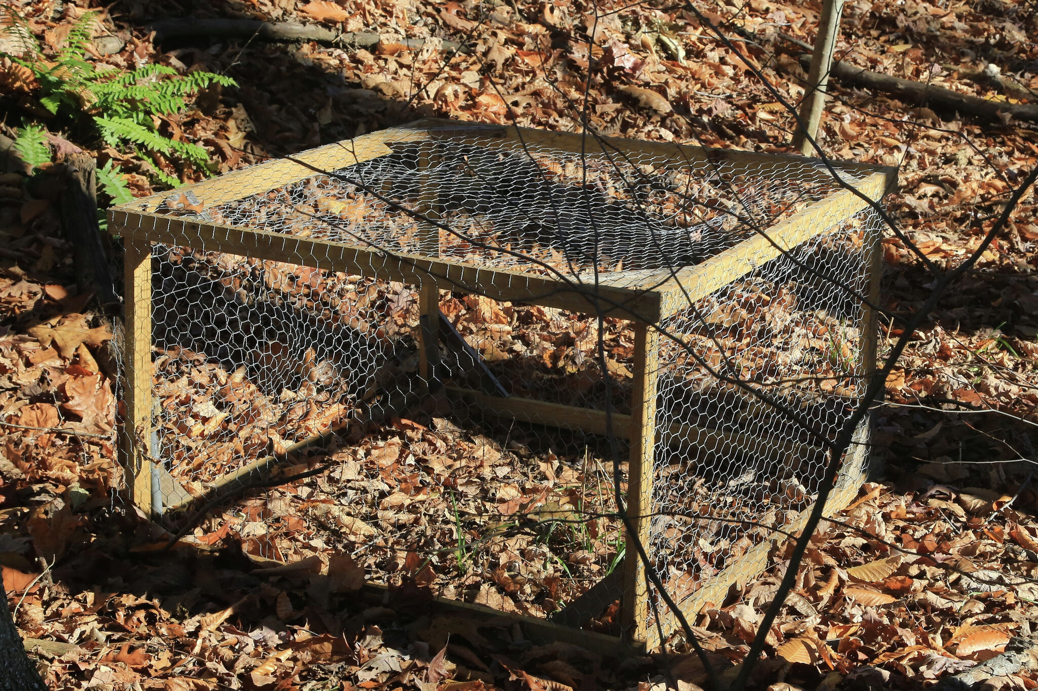 Drawing Nov. 2 for trapping permits at Grafton area sites | Journal-Courier