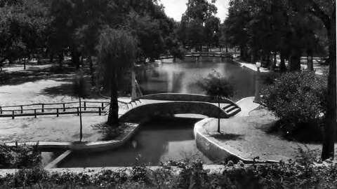 Walking through San Antonio's San Pedro Springs Park
