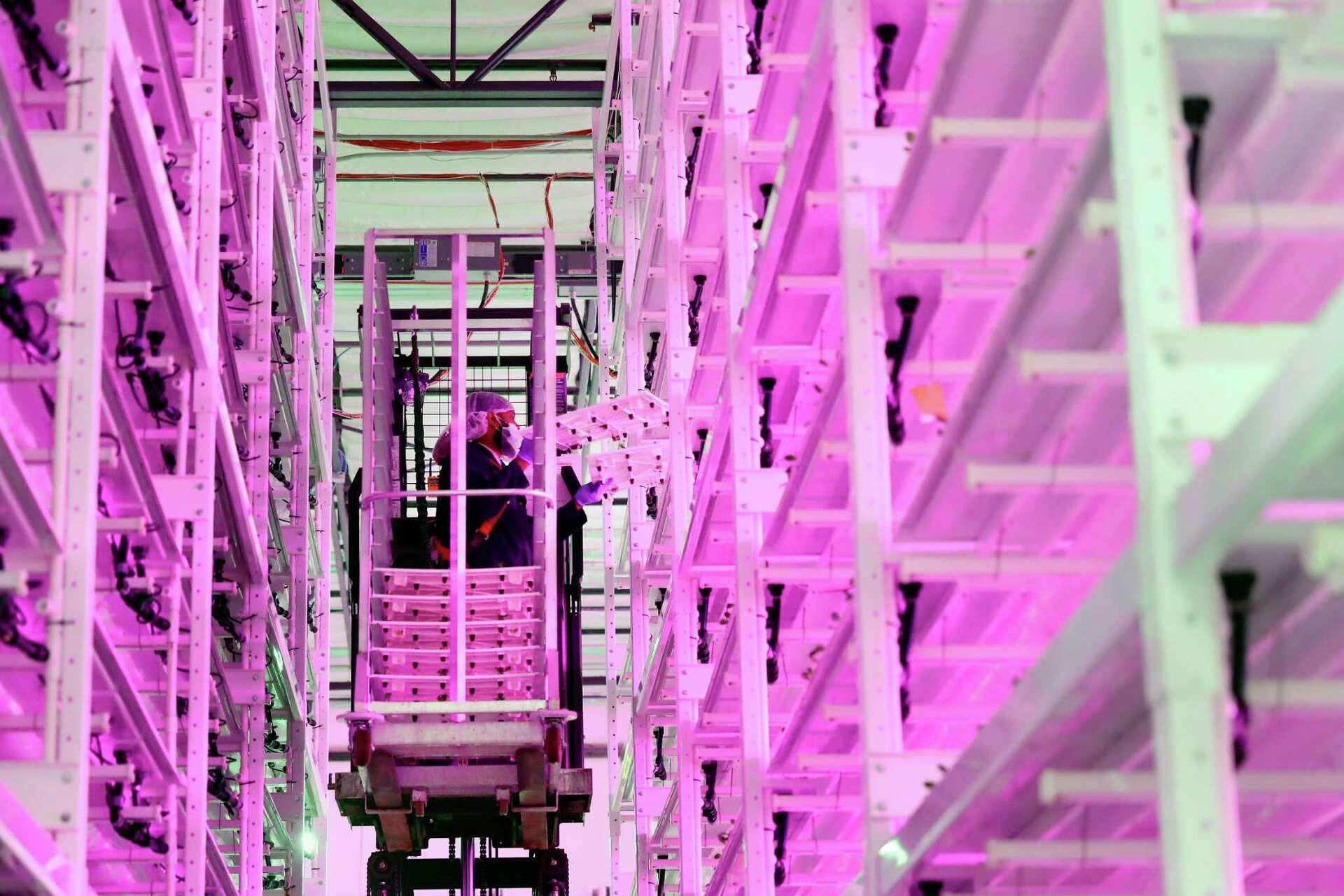 Kalera's vertical farm in Houston is part of growing high-tech ...