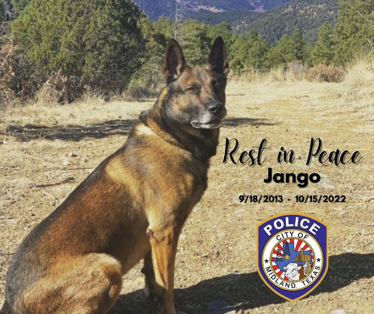 Midland Police Department mourning loss of K-9 Jango