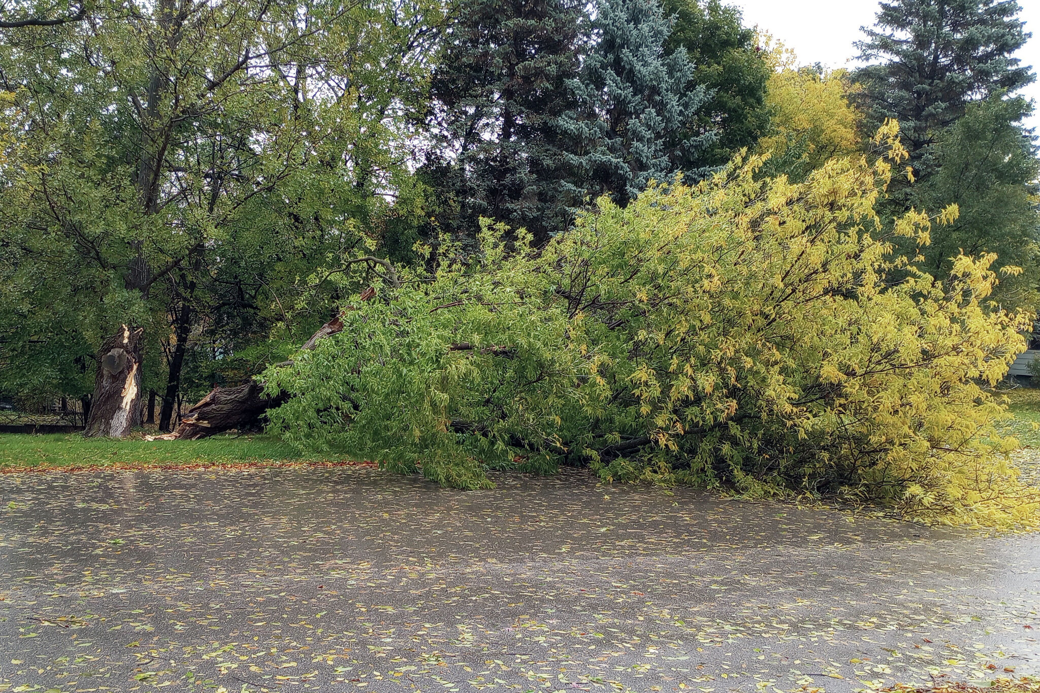 What to expect as wind storm hits northern Michigan