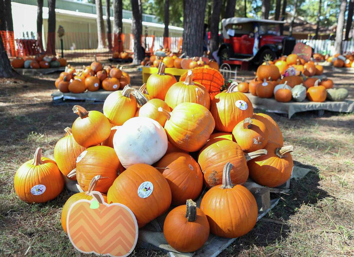 5 pumpkin patches in Montgomery County offer fall activities, photo ops and more