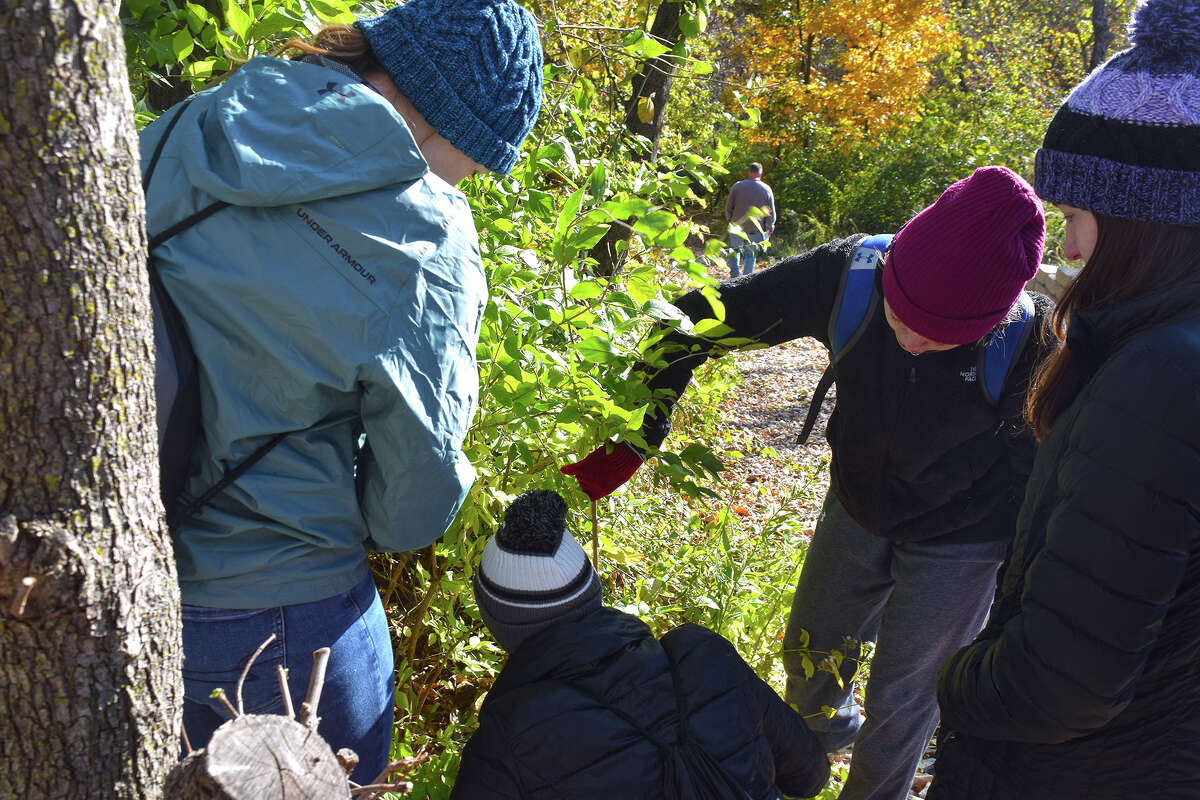 Students remove invasive plants at conservation site | Journal-Courier