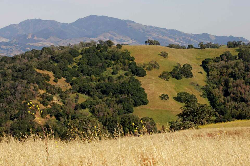 California wildfire risk reduced due to absence of Diablo winds