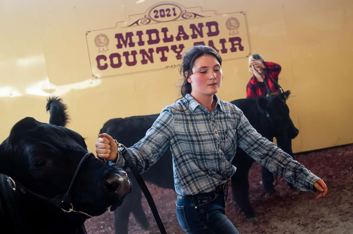 Midland County Fair awarded $100k from MDARD for building improvements