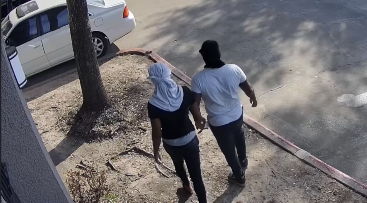 Men tried to steal a python at gunpoint, Houston police allege