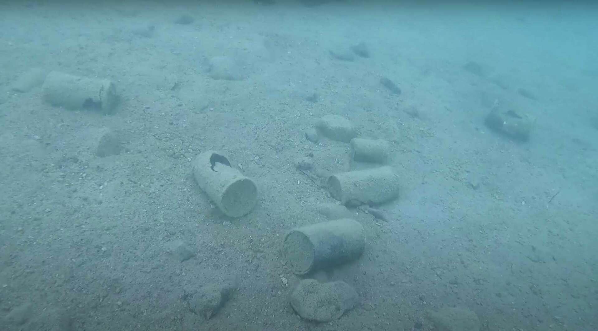 ‘Like nothing we’d seen before’: Here’s what scuba divers found when ...