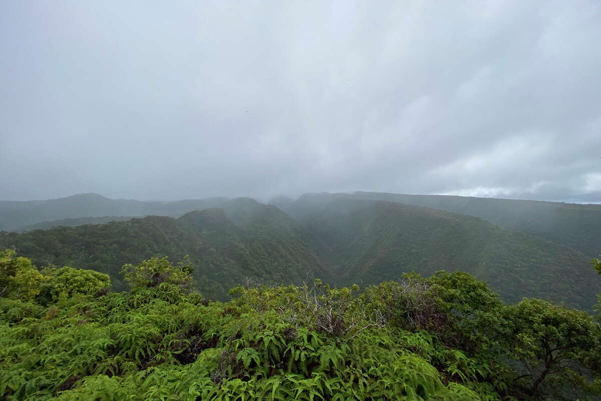 Why Maui's drought problem should scare everyone in Hawaii