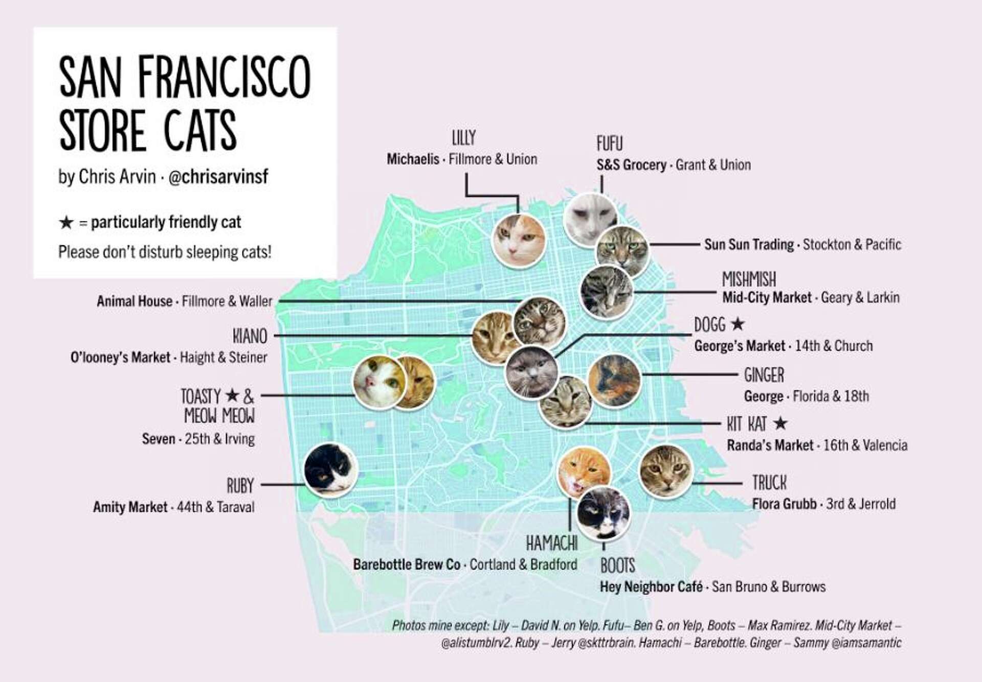 Do you know these felines? Map featuring the ‘store cats’ of San ...