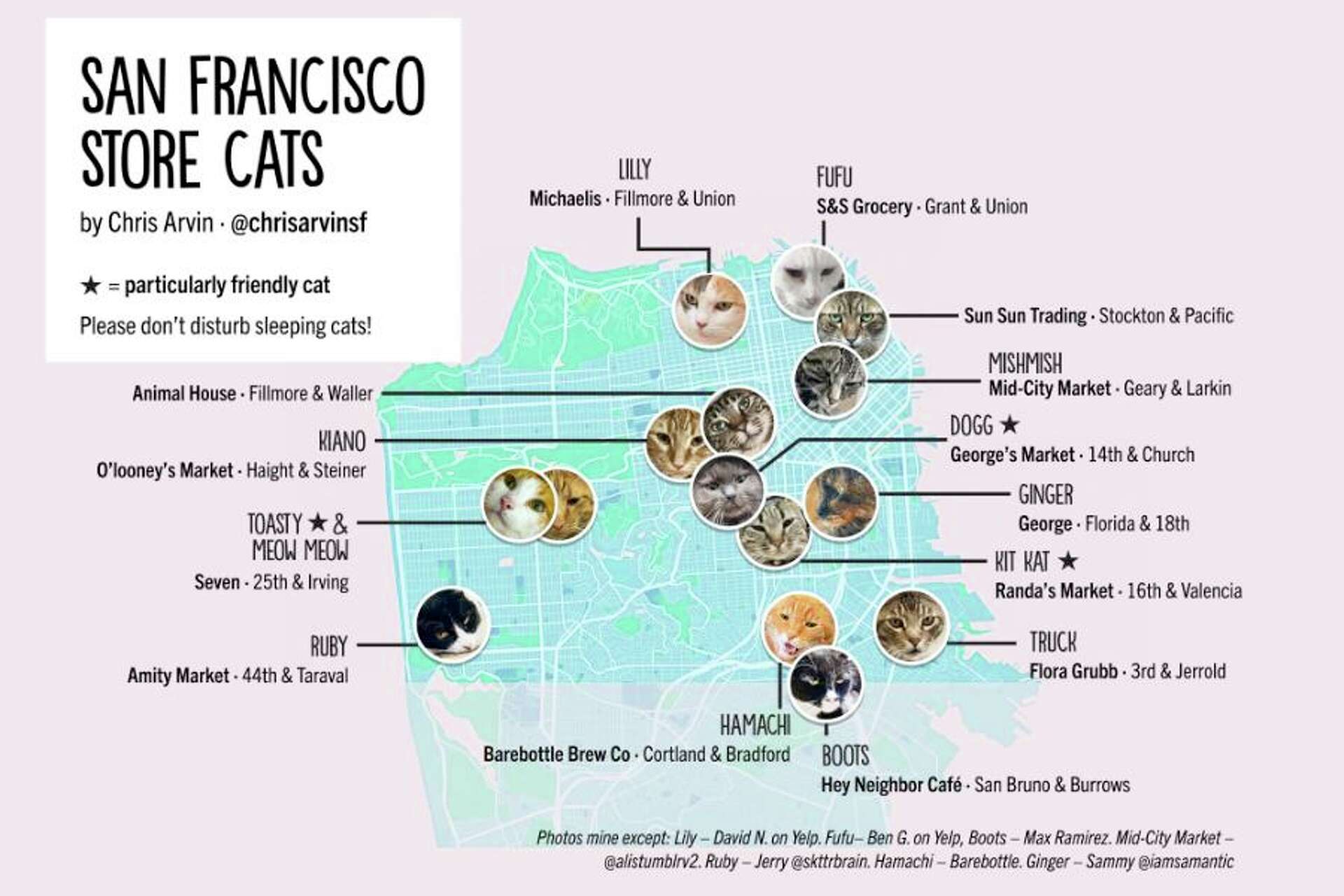 Do you know these felines? Map featuring the ‘store cats’ of San ...