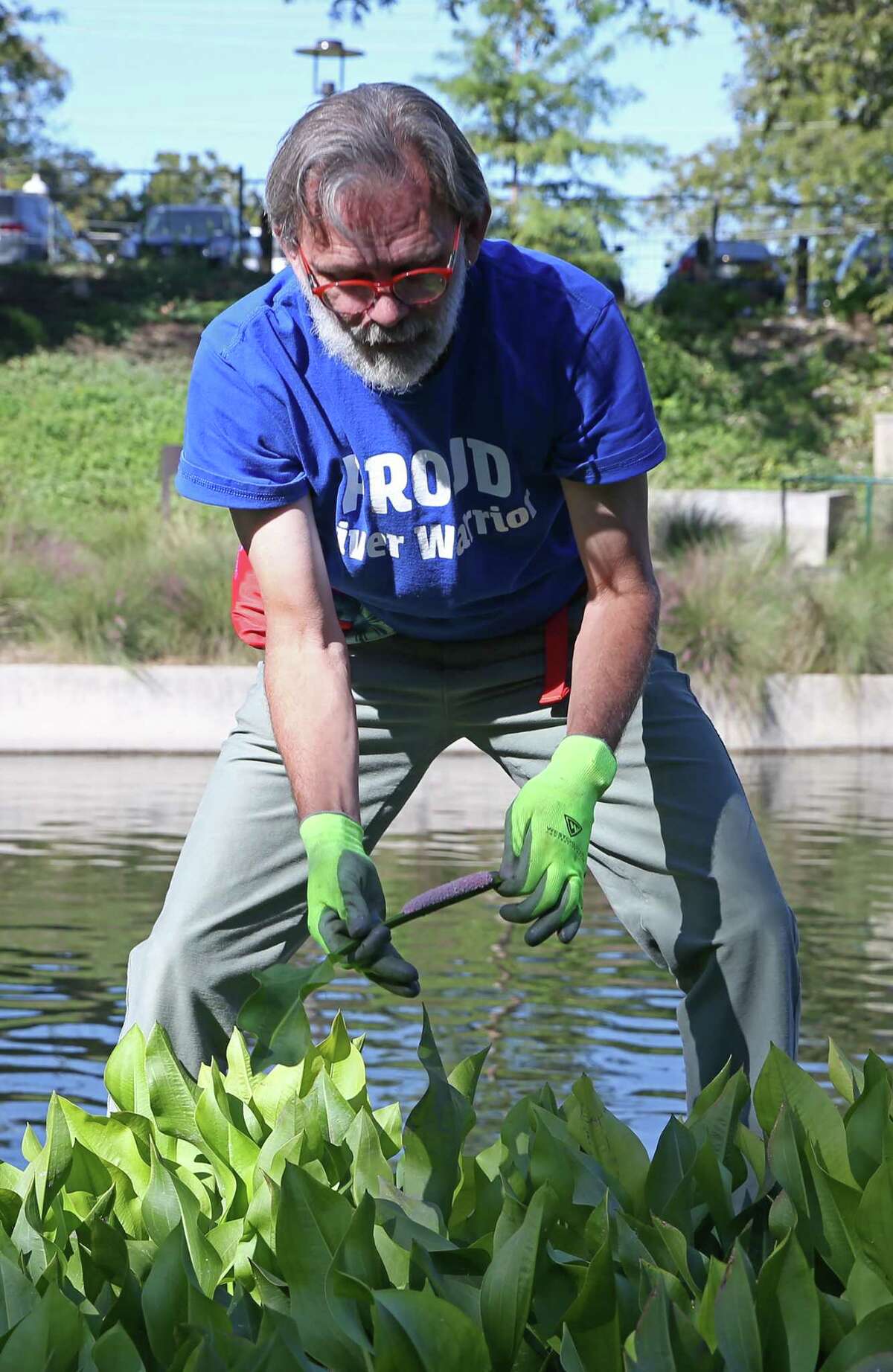 ‘Warriors’ target invasive apple snails in San Antonio River