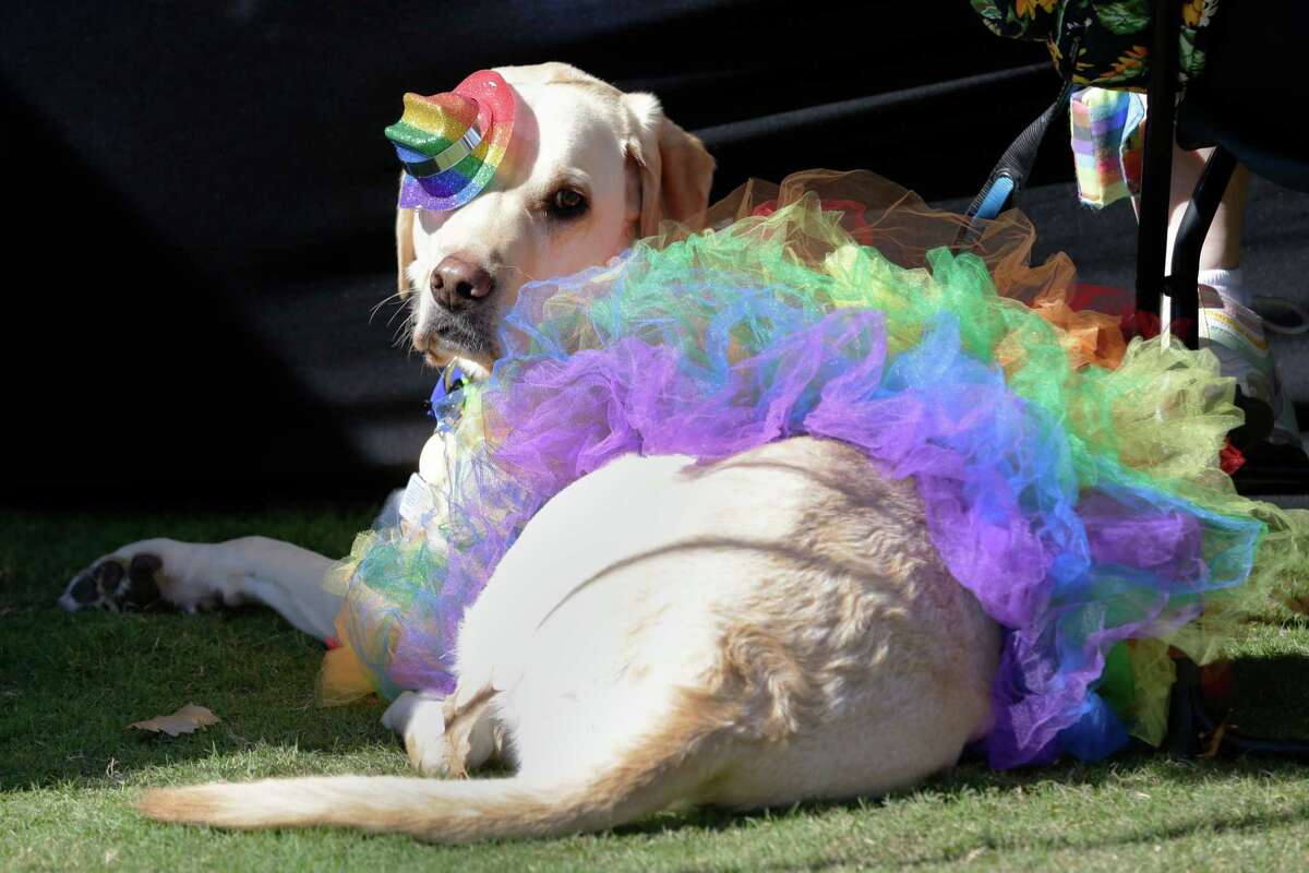 The Woodlands Pride hosts first summit with local, LGBT speakers