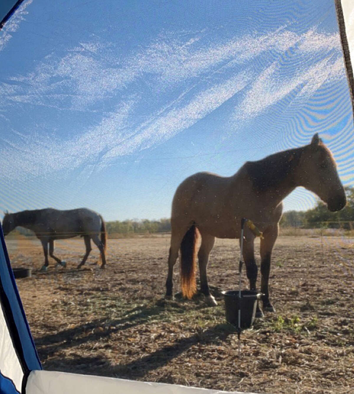 Edwardsville teen joins 'Three Amigos' to help raise money for veterans ...