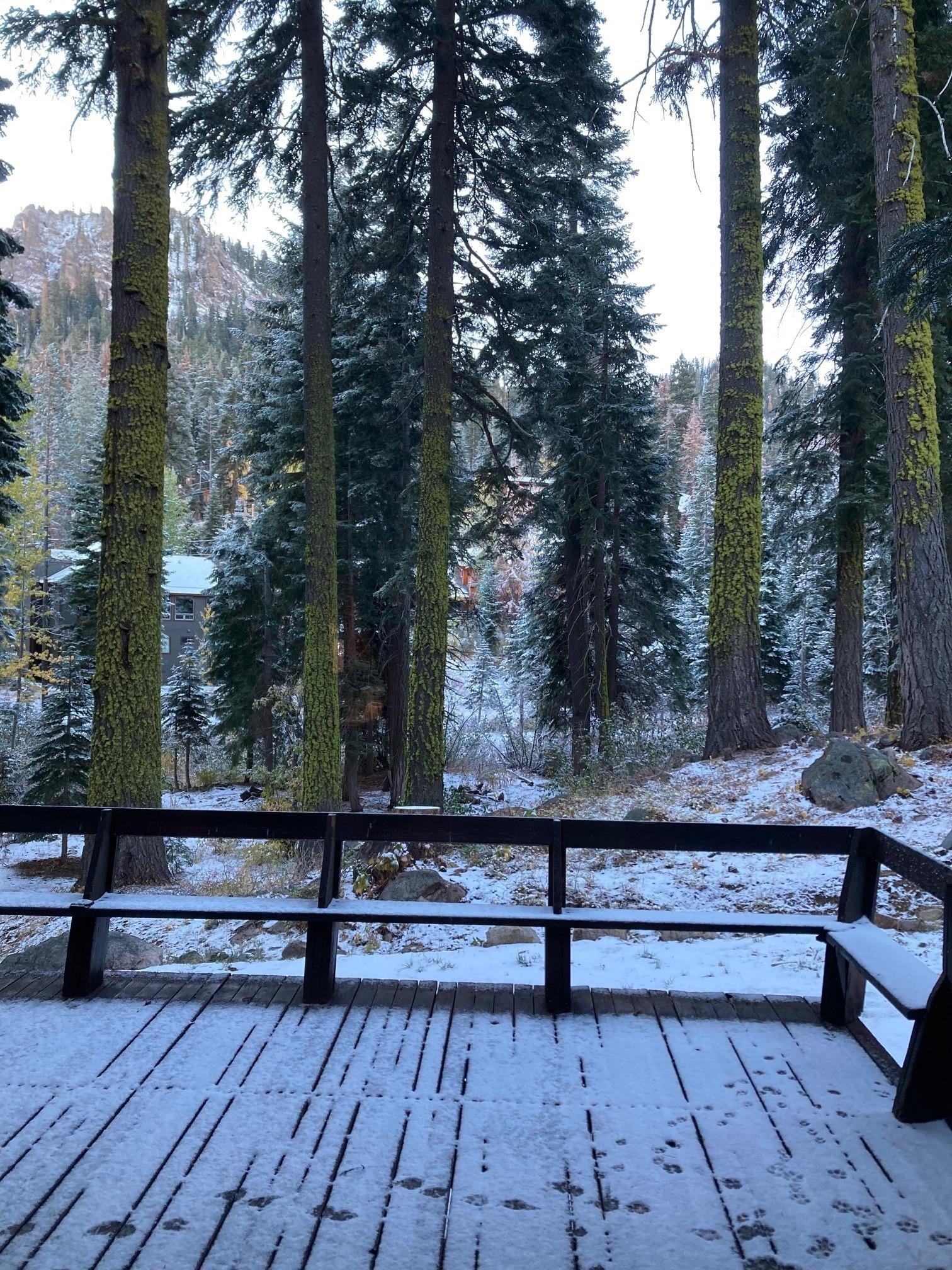 First snow of season drops inch and a half in Sierra