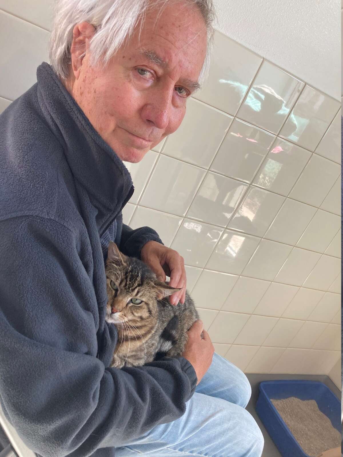 Cats offer unconditional love, cuddles, stress relief