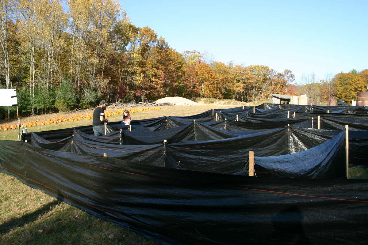 Fort Faith Bible Camp in Morley hosts Fall Festival