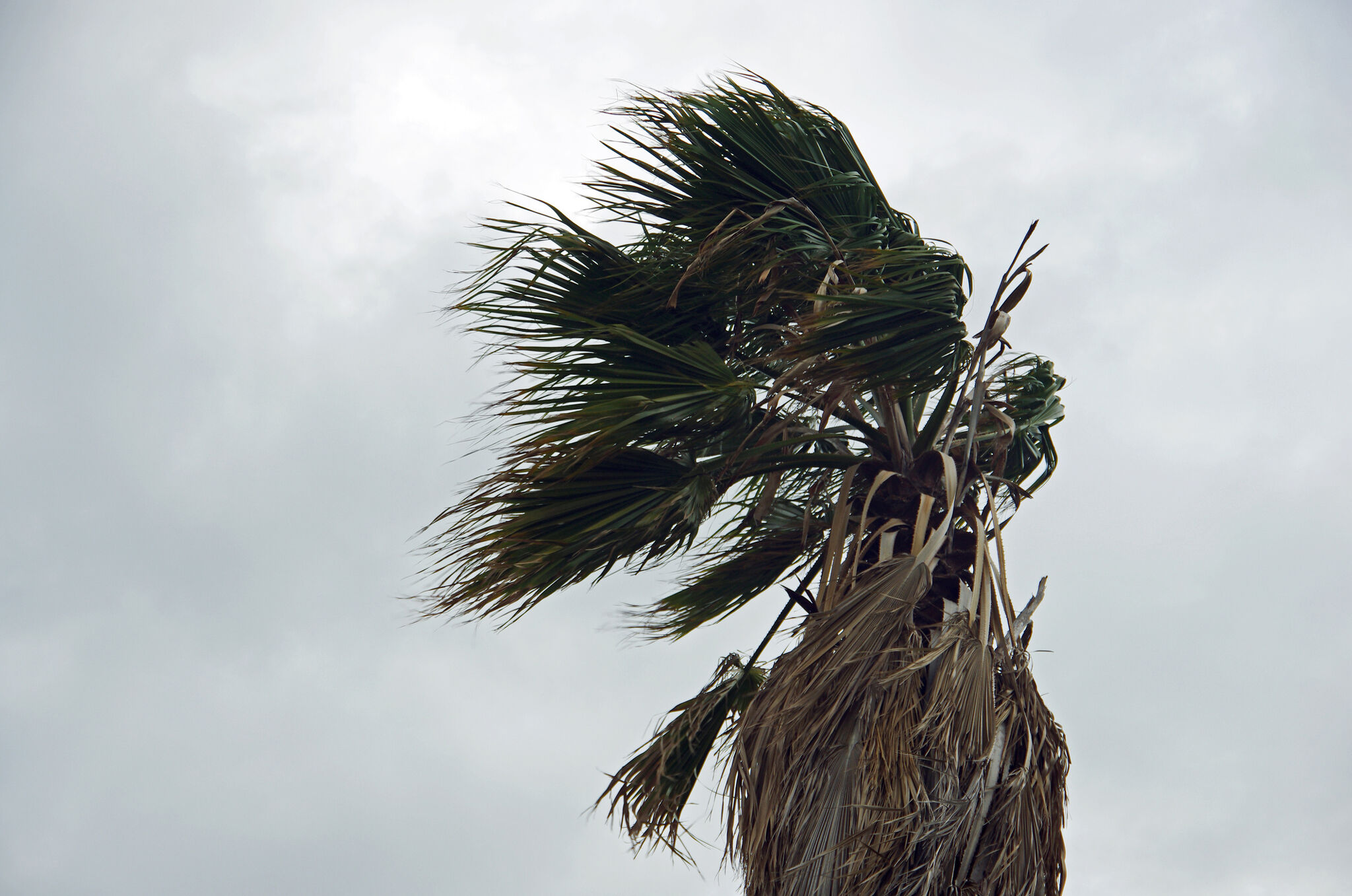 Windiest parts of Houston during thunderstorms on October 24
