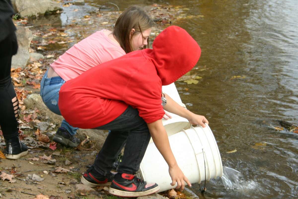 Big Rapids students help restock fish in Muskegon River