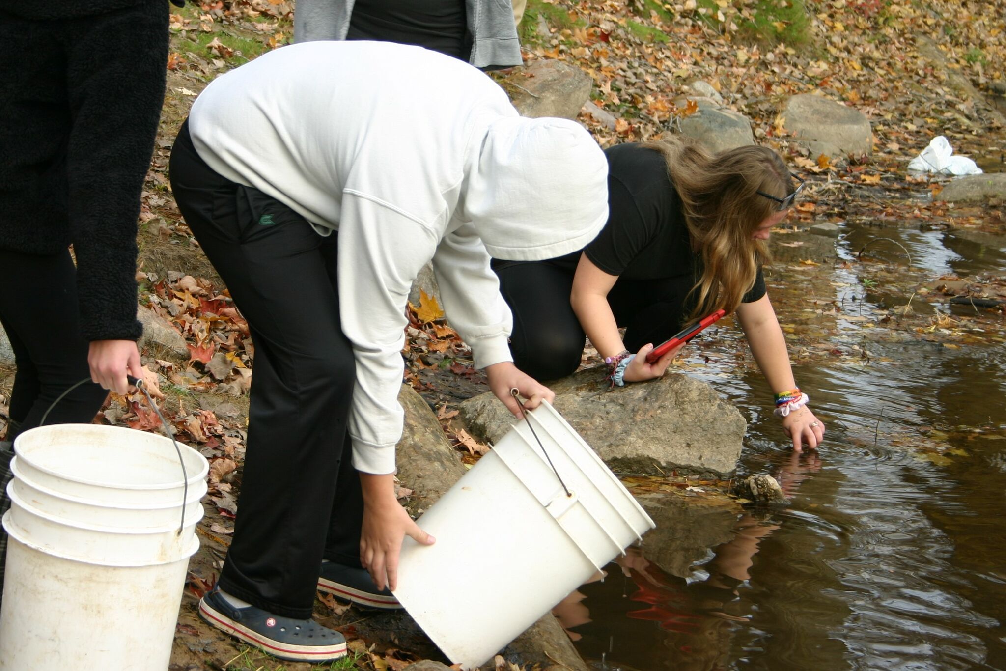 Big Rapids students help restock fish in Muskegon River