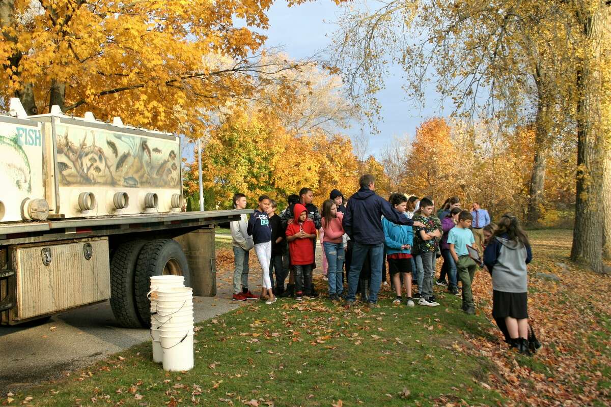 Big Rapids students help restock fish in Muskegon River