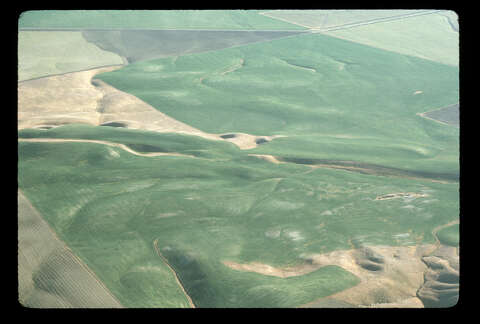 What to know about Calaveras Fault, which shook Bay Area