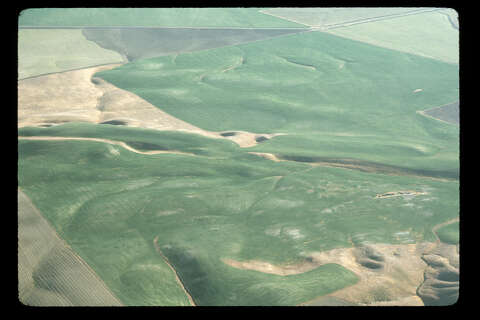 What to know about Calaveras Fault, which shook Bay Area