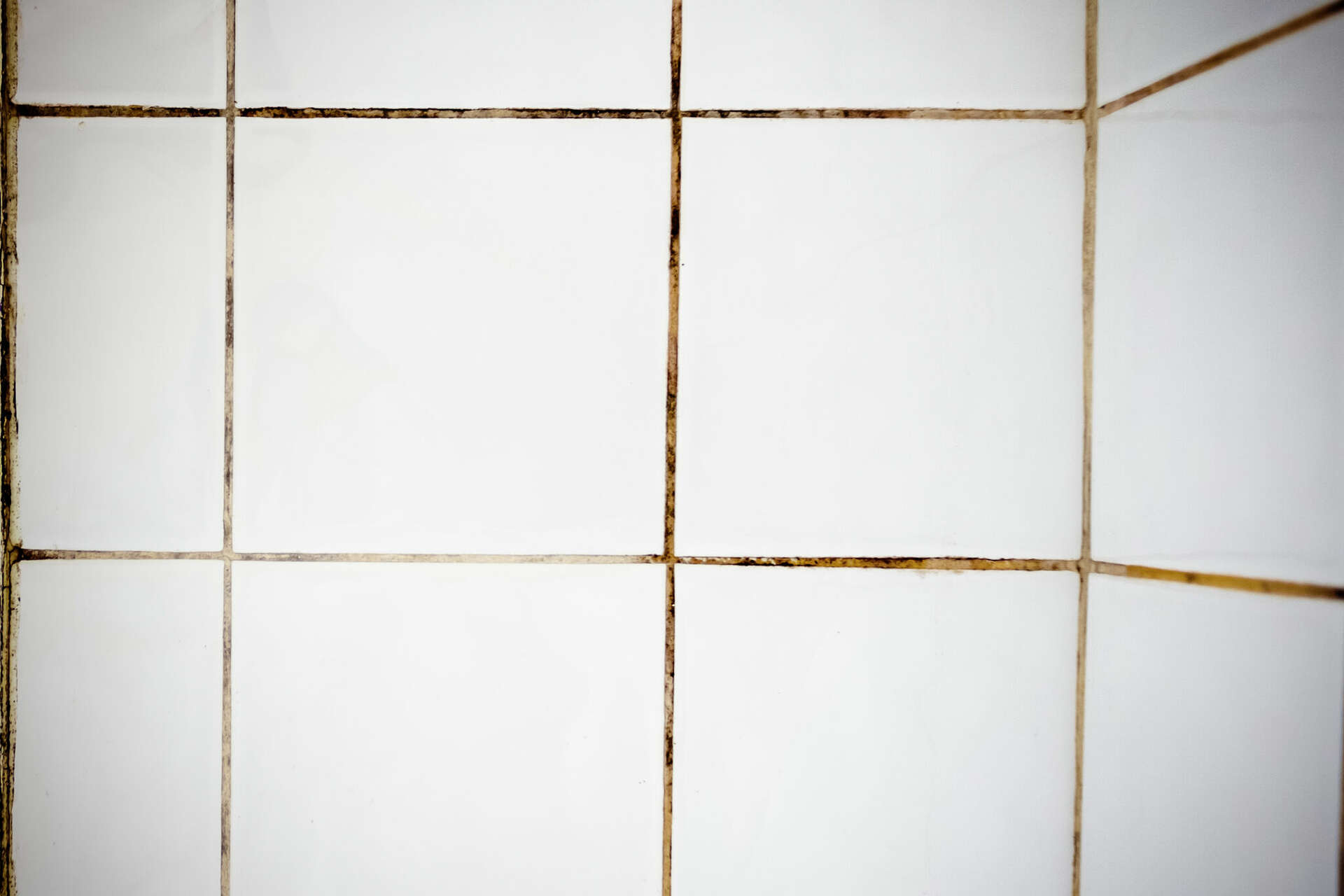 How to clean tile grout