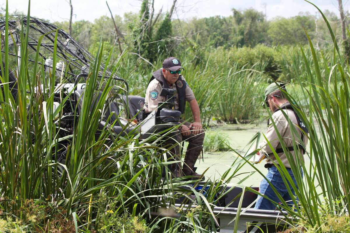 At Brazos Bend, counting alligators is a family affair