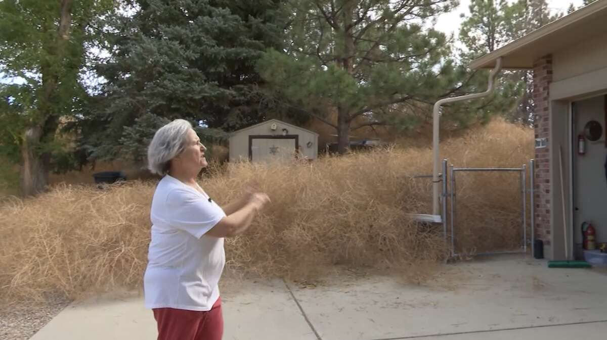 'We still can't walk anywhere': Couple describes being stuck in home ...