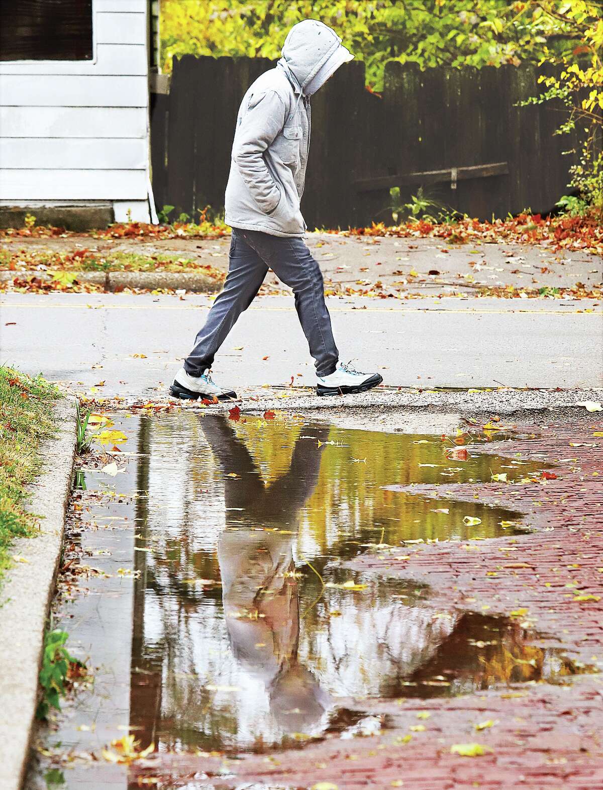 This Week In Pictures