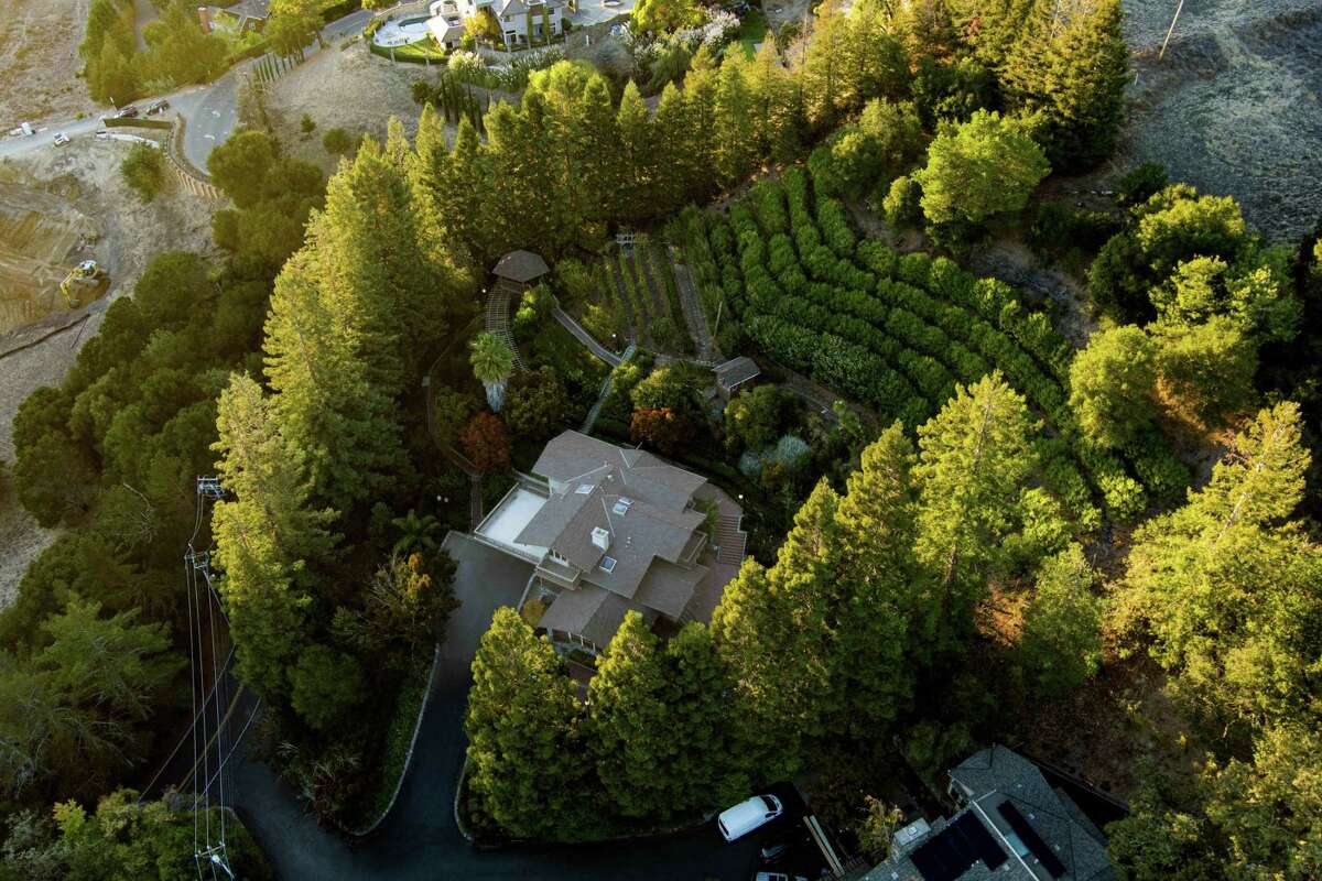 One Bay Area street has a cluster of homes named as ‘water hogs.’ Here ...