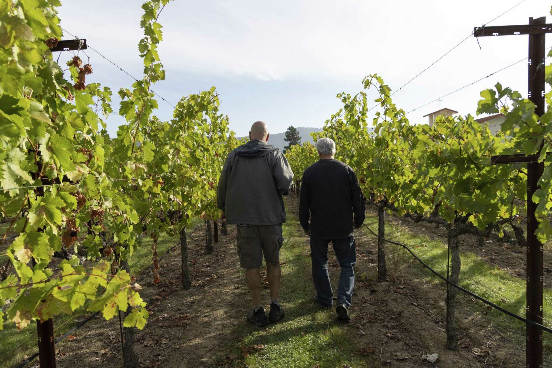 This church's vineyard launched one of the top wine regions in Sonoma