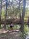 Castroville Regional Park offers hidden gem hikes for all