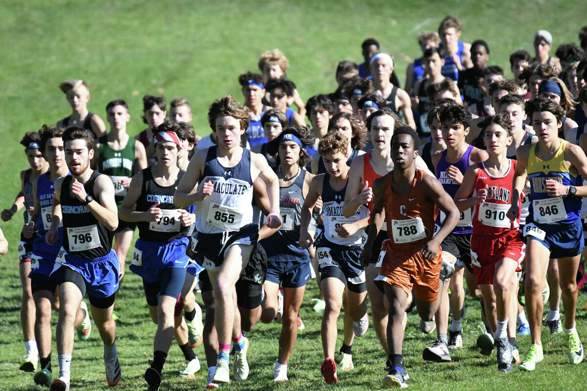 2022 CIAC boys cross country state championship roundup at Wickham Park.