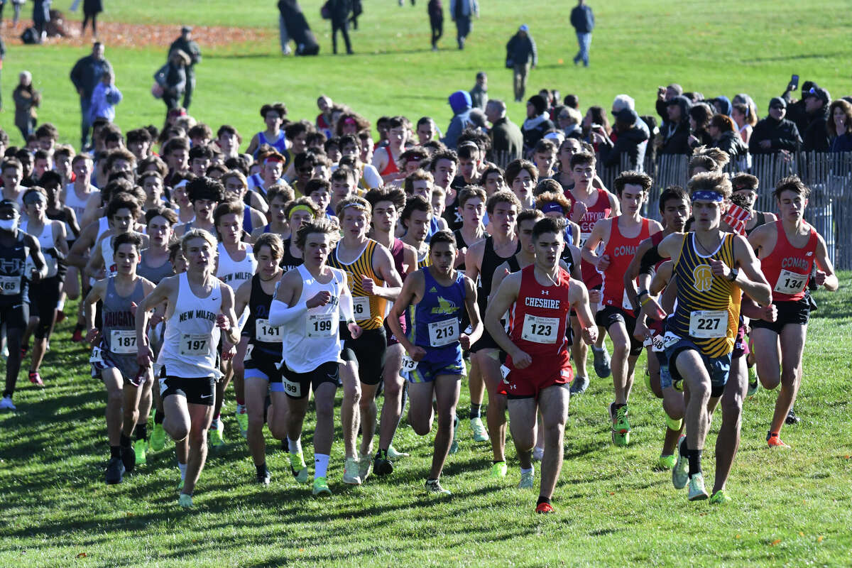 Connecticut runners, teams in 2022 New England Cross Country meet.