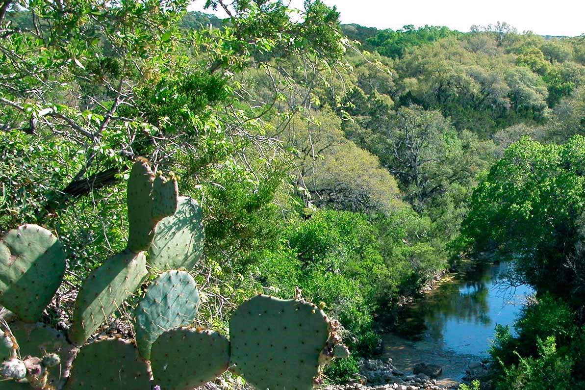 San Antonio best Texas city for green space: Lawn Love