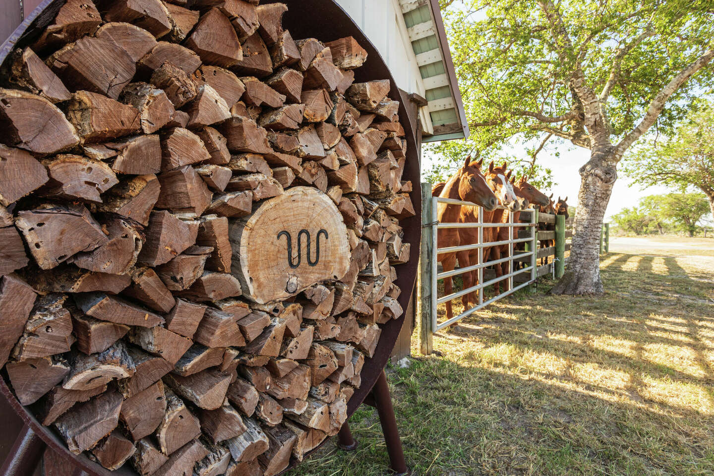 King Ranch, the Texas phenomenon explained
