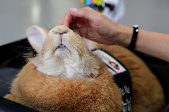 Actually enjoy flying out of SFO with these best-kept secrets